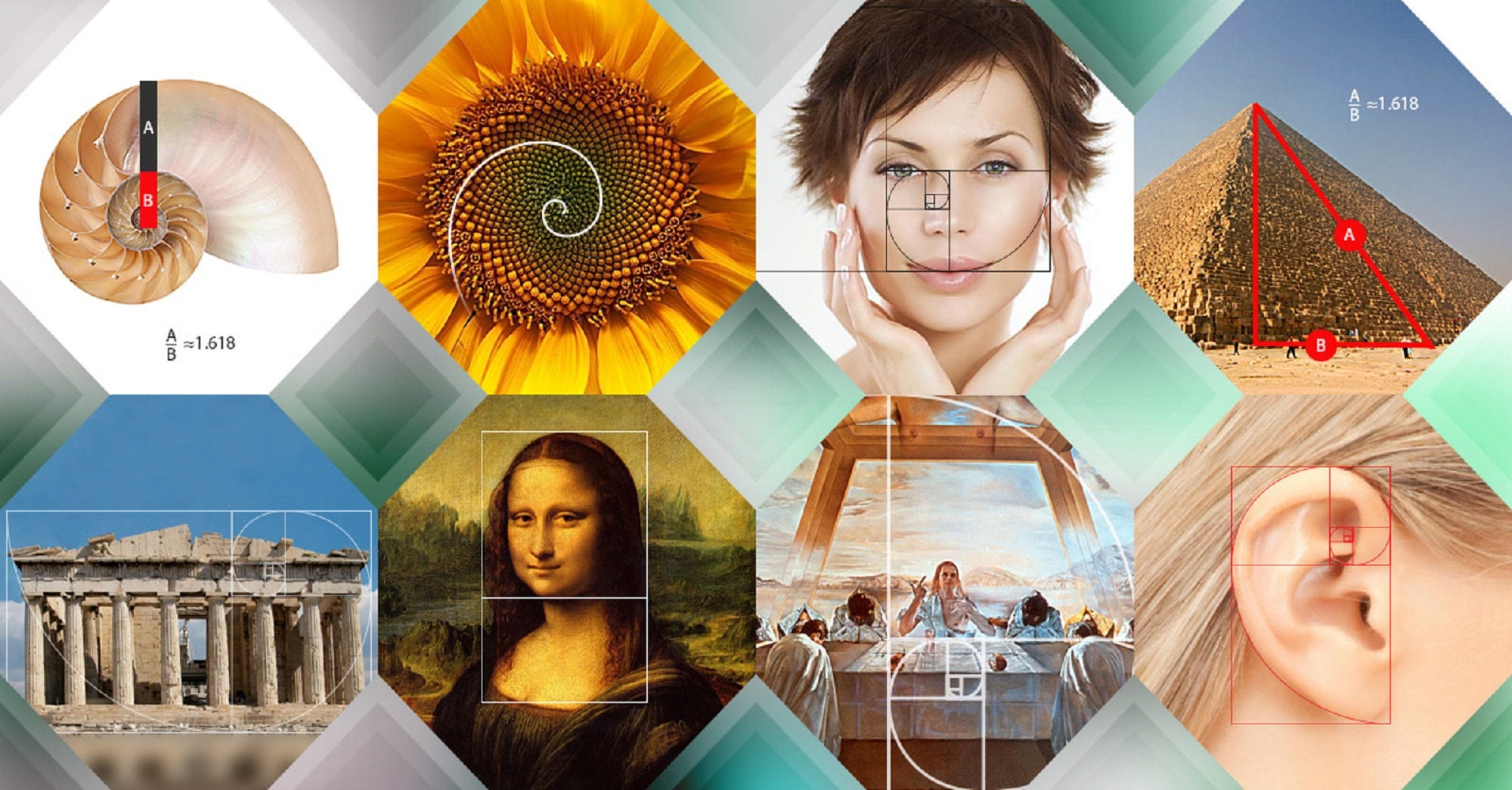 Golden Ratio Grid Printable Template, Fibonacci Printable Grid, Drawing ...