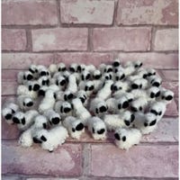 Cute Cuddly Sheep - Etsy