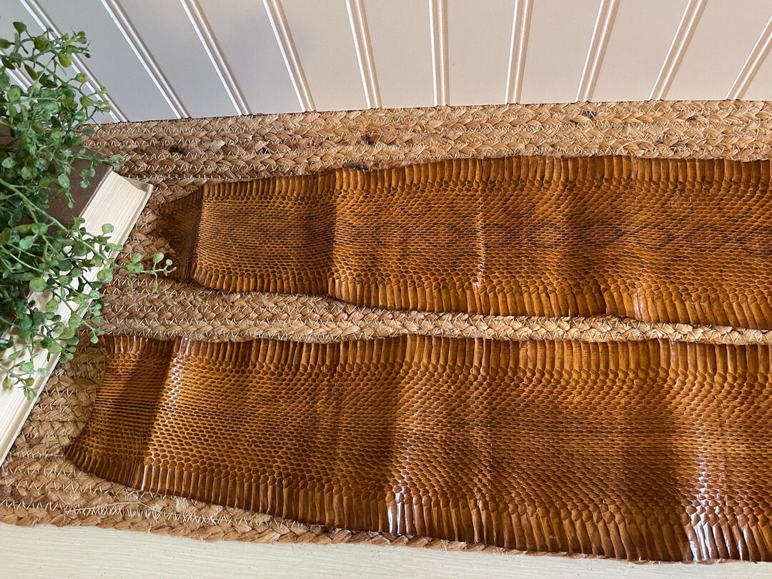 Real Snake Leather Hides – Bronze Copper Snakeskins for Crafts - Etsy