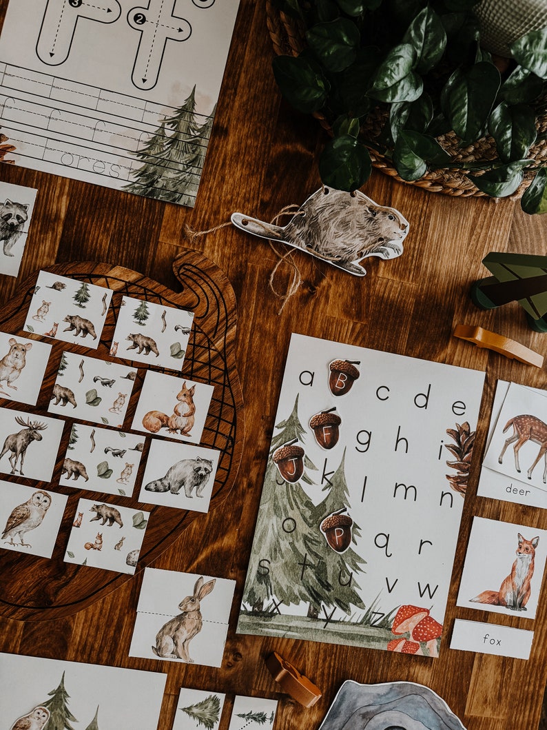 Woodland Animals Activity Unit, Forest Montessori Unit, Nature ...