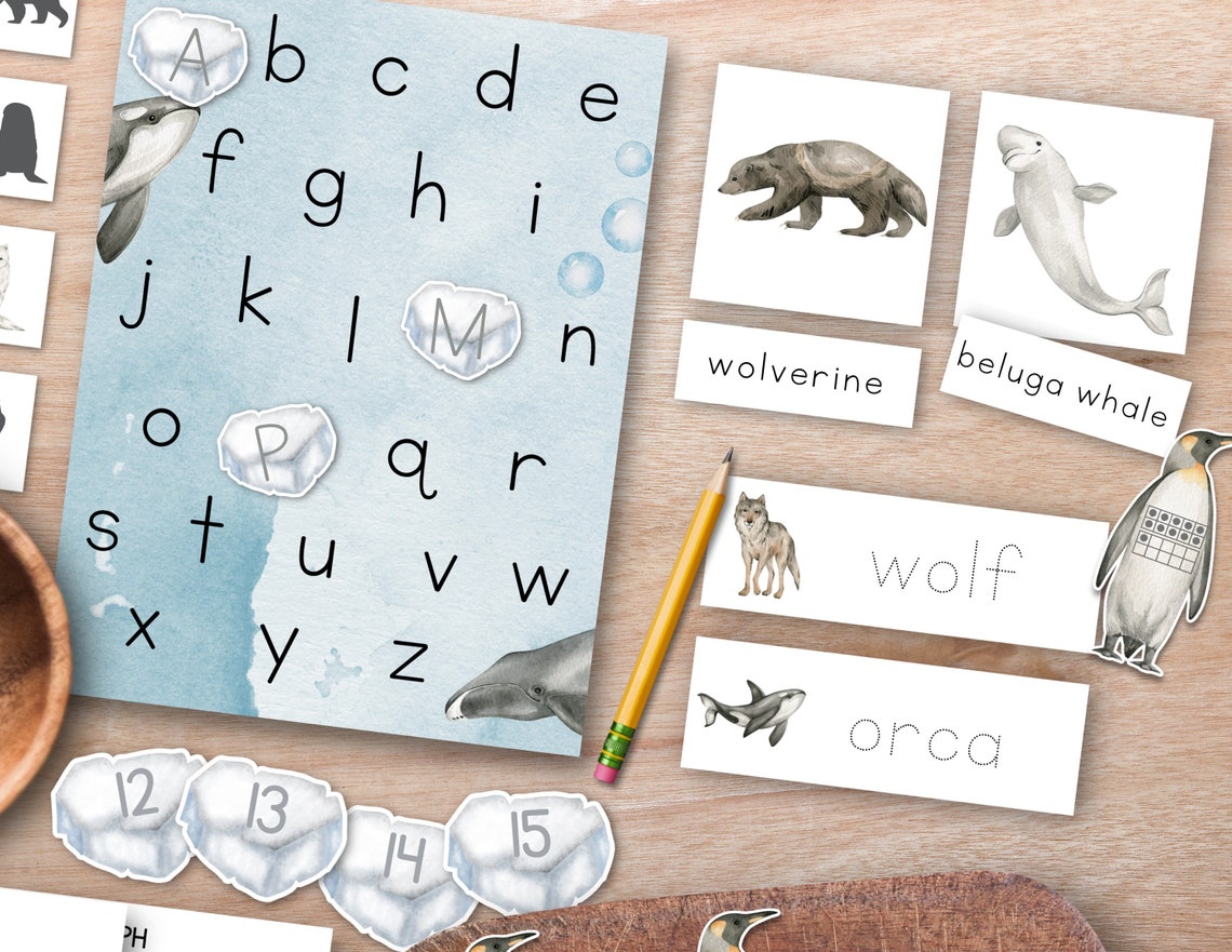Arctic Animal Activity Unit Winter Montessori Unit Nature - Etsy