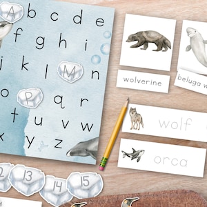 Arctic Animal Activity Unit, Winter Montessori Unit, Nature Flashcards ...