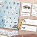 Arctic Animal Activity Unit, Winter Montessori Unit, Nature Flashcards ...