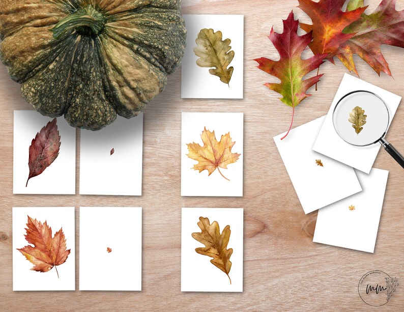 Fall Leaves Magnifying Match Activity, Montessori Autumn Activity ...