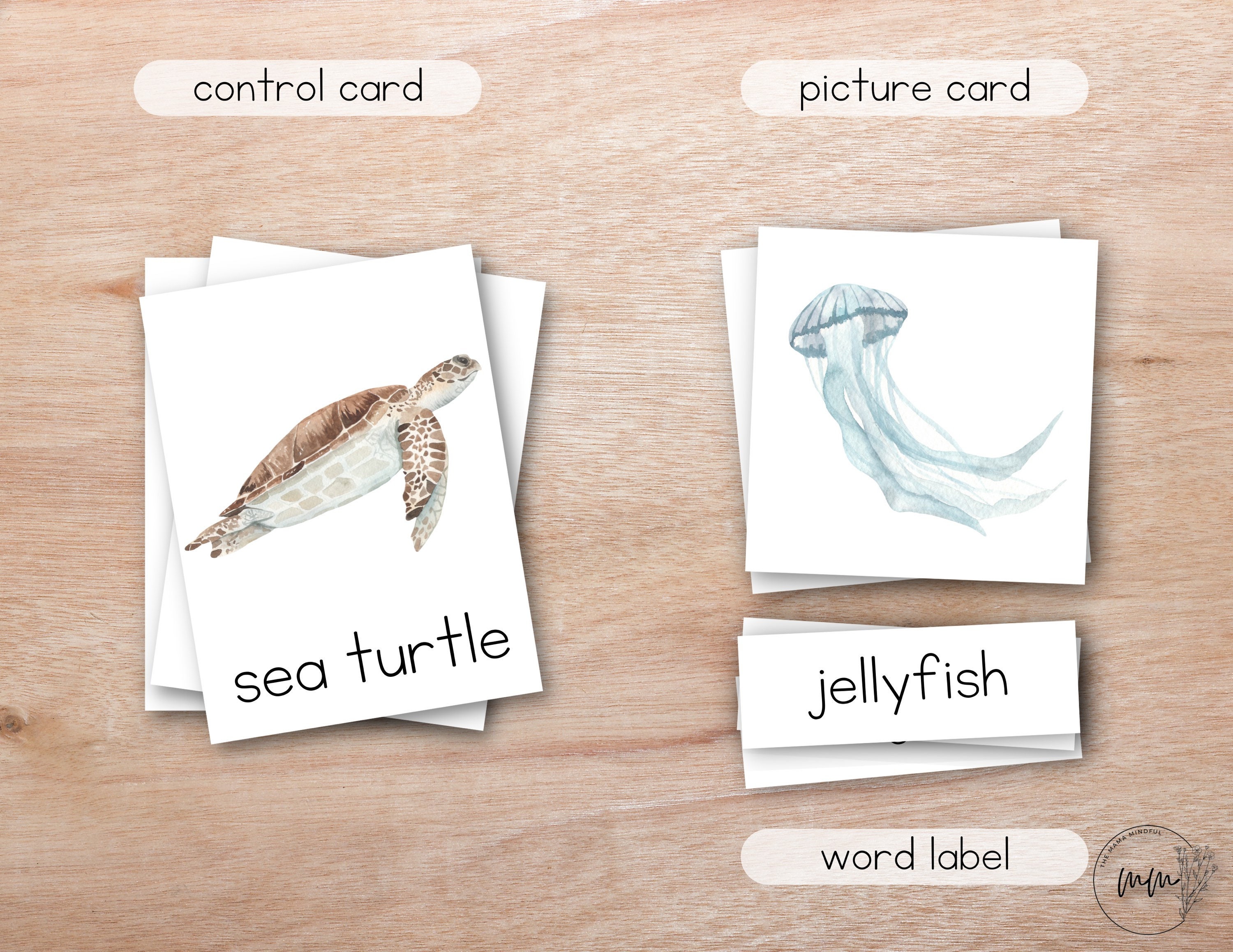 Ocean Animals Nomenclature 3 Part Montessori Cards, Summer Flashcards ...