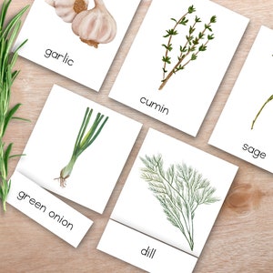 Garden Herbs 3 Part Flashcards, Garden Flashcards, Preschool Garden ...