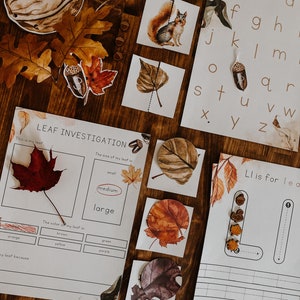 Leaf Activity Unit, Leaf Montessori Unit, Nature Flashcards, Homeschool ...
