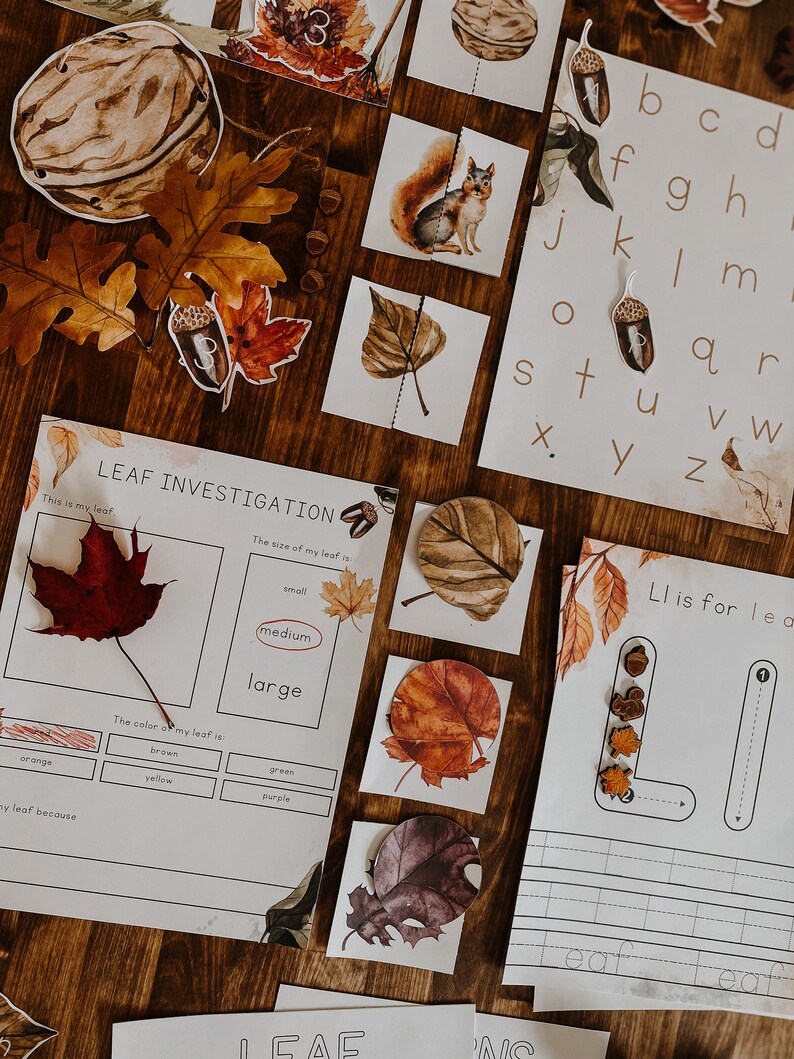Leaf Activity Unit, Leaf Montessori Unit, Nature Flashcards, Homeschool ...