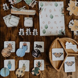 Bug Activity Unit, Insect Montessori Unit, Nature Flashcards ...