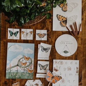 Butterfly Activity Unit, Butterfly Montessori Unit, Nature Flashcards ...