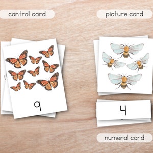 Insect Flashcards Count to 10 Montessori Nomenclature Cards, Spring ...