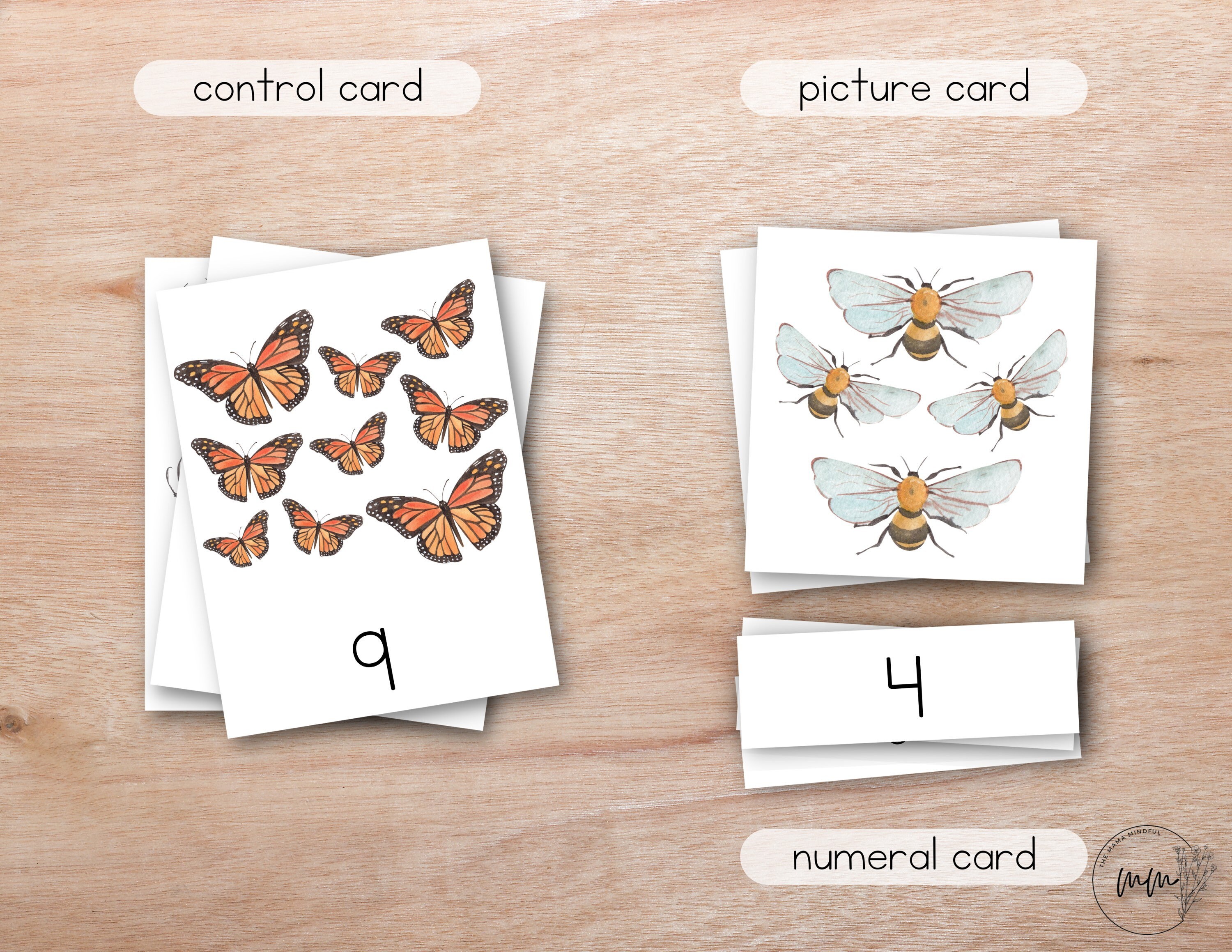 Insect Flashcards Count to 10 Montessori Nomenclature Cards, Spring ...
