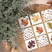 Fall Matching Game, Toddler Montessori Activity, Preschool Nature Match ...