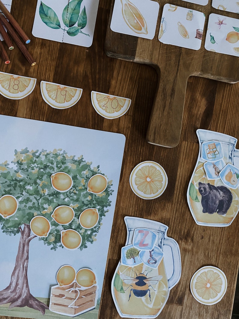 Lemonade Activity Unit, Lemonade Montessori Unit, Nature Flashcards ...