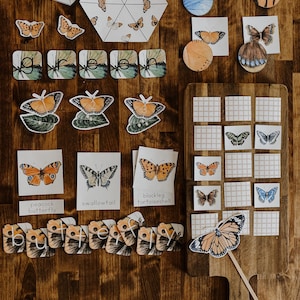 Butterfly Activity Unit, Butterfly Montessori Unit, Nature Flashcards ...
