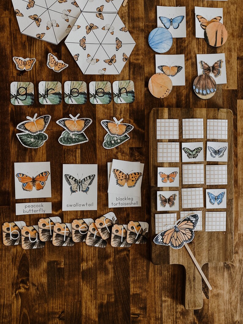Butterfly Activity Unit, Butterfly Montessori Unit, Nature Flashcards ...