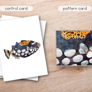Fish Pattern Matching Cards, Ocean Study Unit, Animal Patterns ...