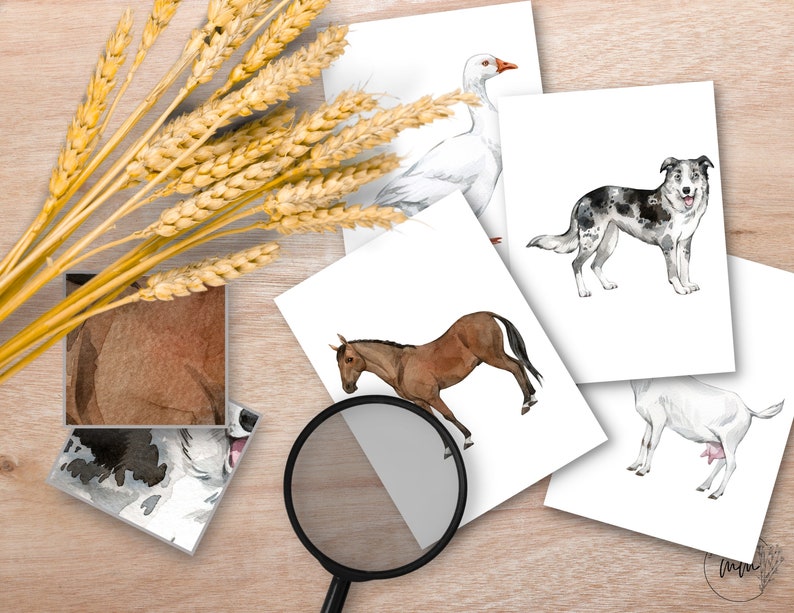 Farm Animal Pattern Matching Cards Farm Animal Flashcards - Etsy