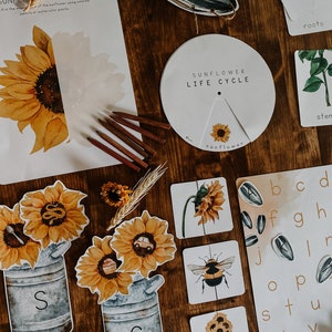 Sunflower Activity Unit, Sunflower Montessori Unit, Nature Flashcards ...