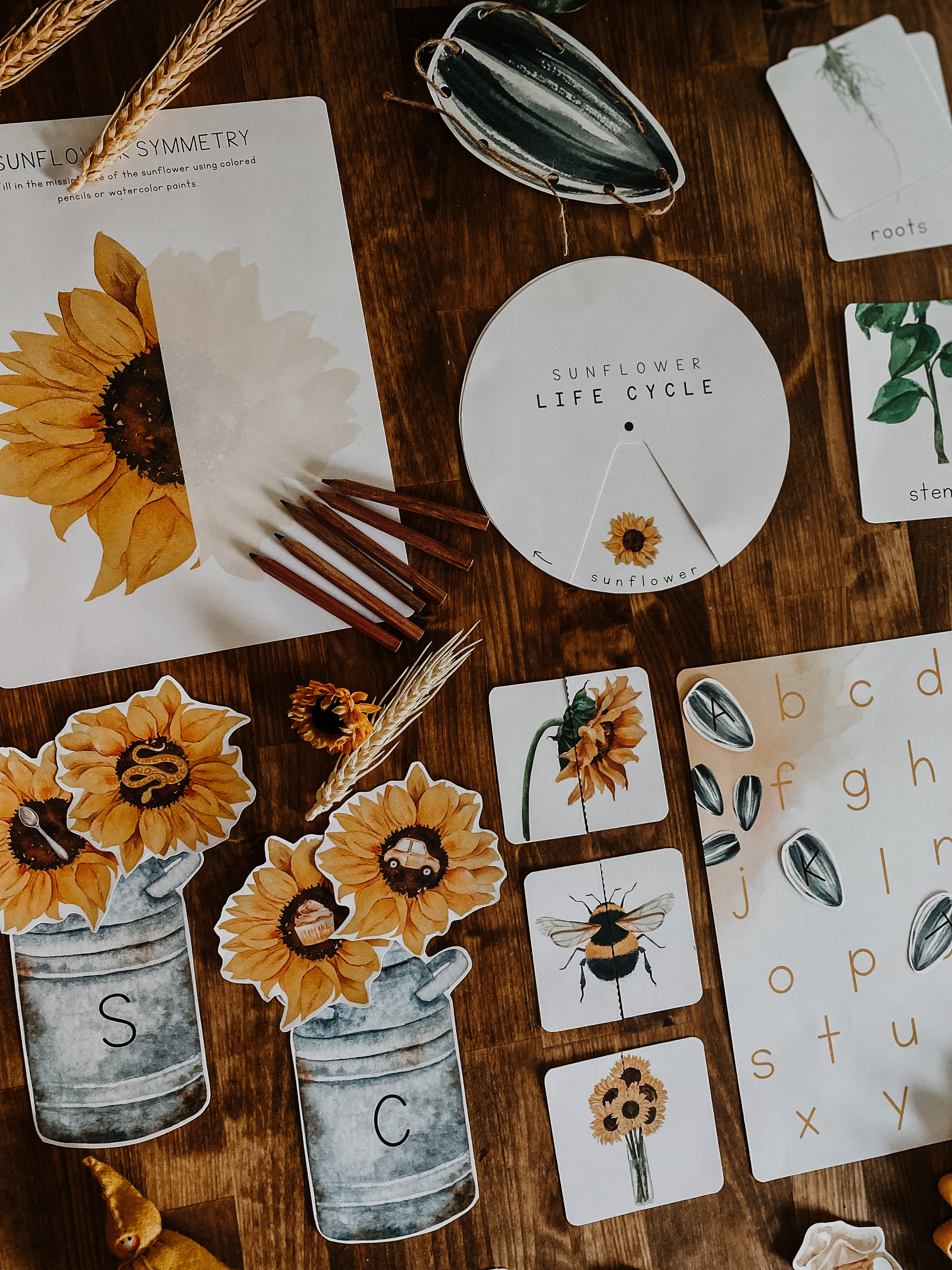 Sunflower Activity Unit, Sunflower Montessori Unit, Nature Flashcards ...