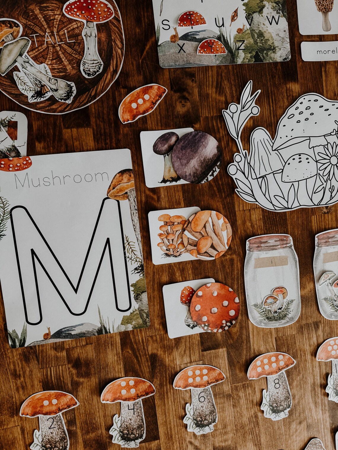 Mushroom Activity Unit, Preschool Unit, Mushroom Flashcards, Homeschool ...
