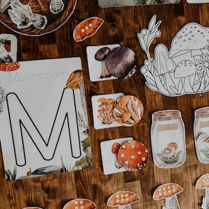 Mushroom Activity Unit, Preschool Unit, Mushroom Flashcards, Homeschool ...