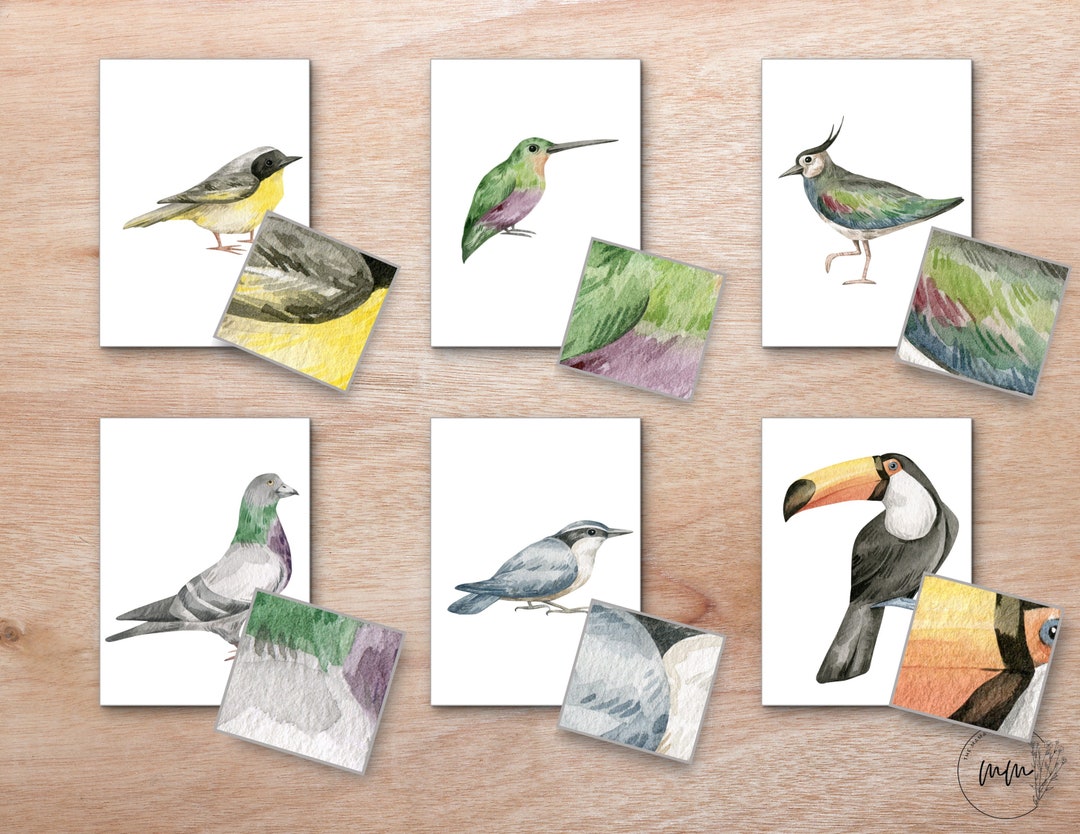 Birds Pattern Matching Cards, Animal Patterns, Montessori Birds, Nature ...
