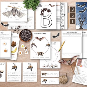 Bat Unit Study Bundle, Bat Study, Bat Life Cycle, Fall Montessori Unit ...