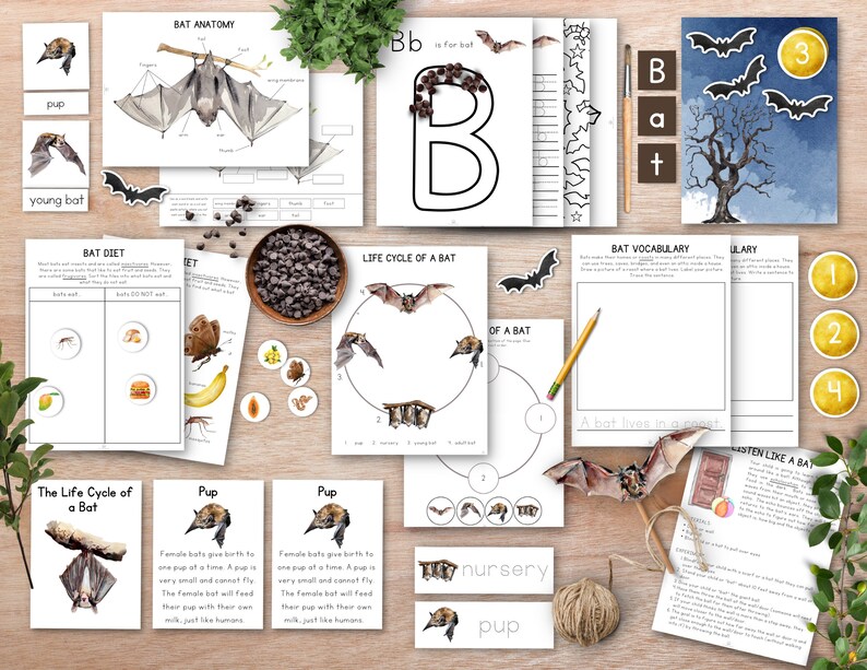 Bat Unit Study Bundle Bat Study Bat Life Cycle Fall - Etsy