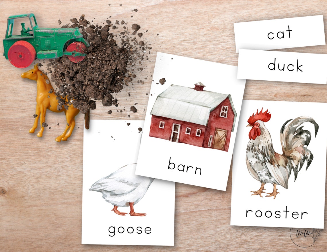 Farm Animal Flashcards Language Cards 3 Part Montessori - Etsy