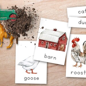 Farm Animal Flashcards Language Cards, 3 Part Montessori Nomenclature ...