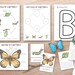 Ladybug Unit Study Bundle, Nature Study, Homeschool Learning Resource ...
