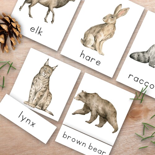 Farm Animal Flashcards Language Cards 3 Part Montessori - Etsy