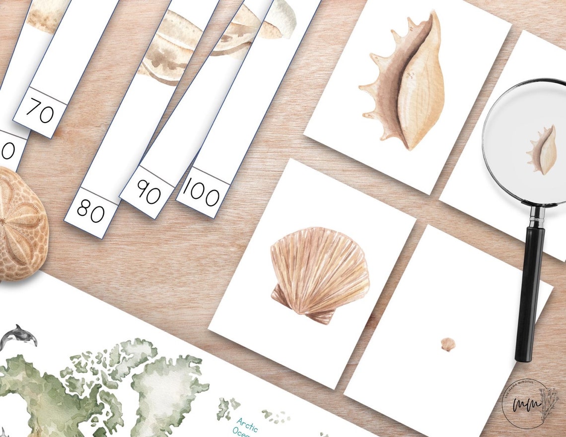 Ocean Unit Study Bundle Montessori Summer 3 Part Cards Math - Etsy
