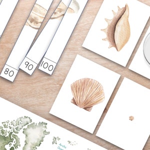 Ocean Unit Study Bundle, Montessori Summer, 3 Part Cards, Math Number ...