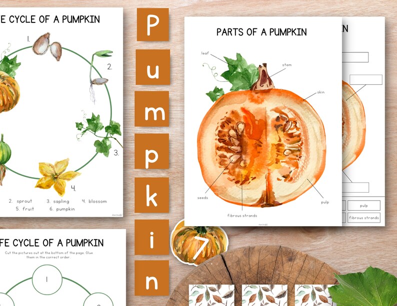 Pumpkin Unit Study Pumpkin Life Cycle Fall Montessori Unit - Etsy
