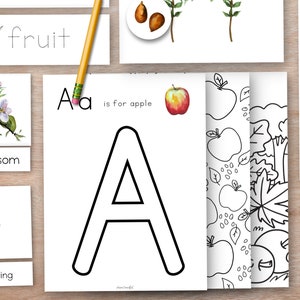 Apple Unit Study Bundle, Apple Study, Fall Montessori Unit, Nature ...