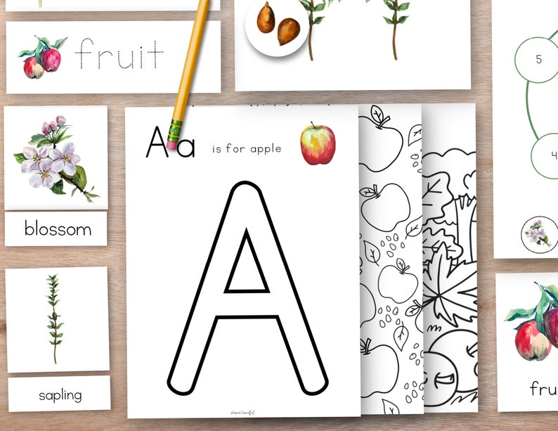 Apple Unit Study Bundle Apple Study Fall Montessori Unit - Etsy