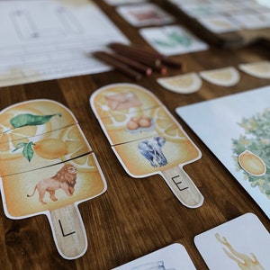 Lemonade Activity Unit, Lemonade Montessori Unit, Nature Flashcards ...