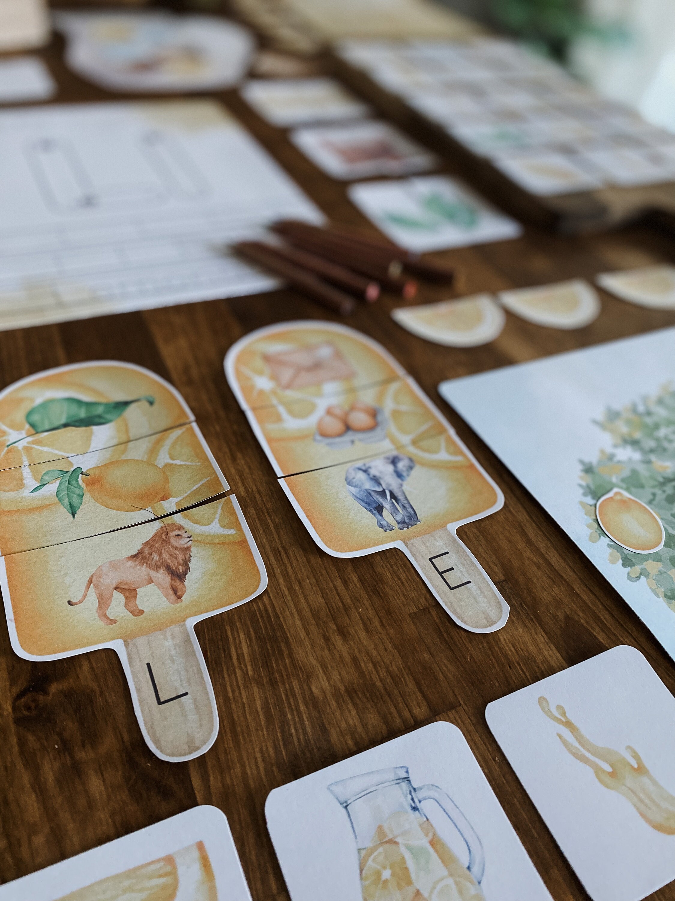 Lemonade Activity Unit, Lemonade Montessori Unit, Nature Flashcards ...