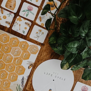 Bee Activity Unit, Bee Montessori Unit, Nature Flashcards, Homeschool ...