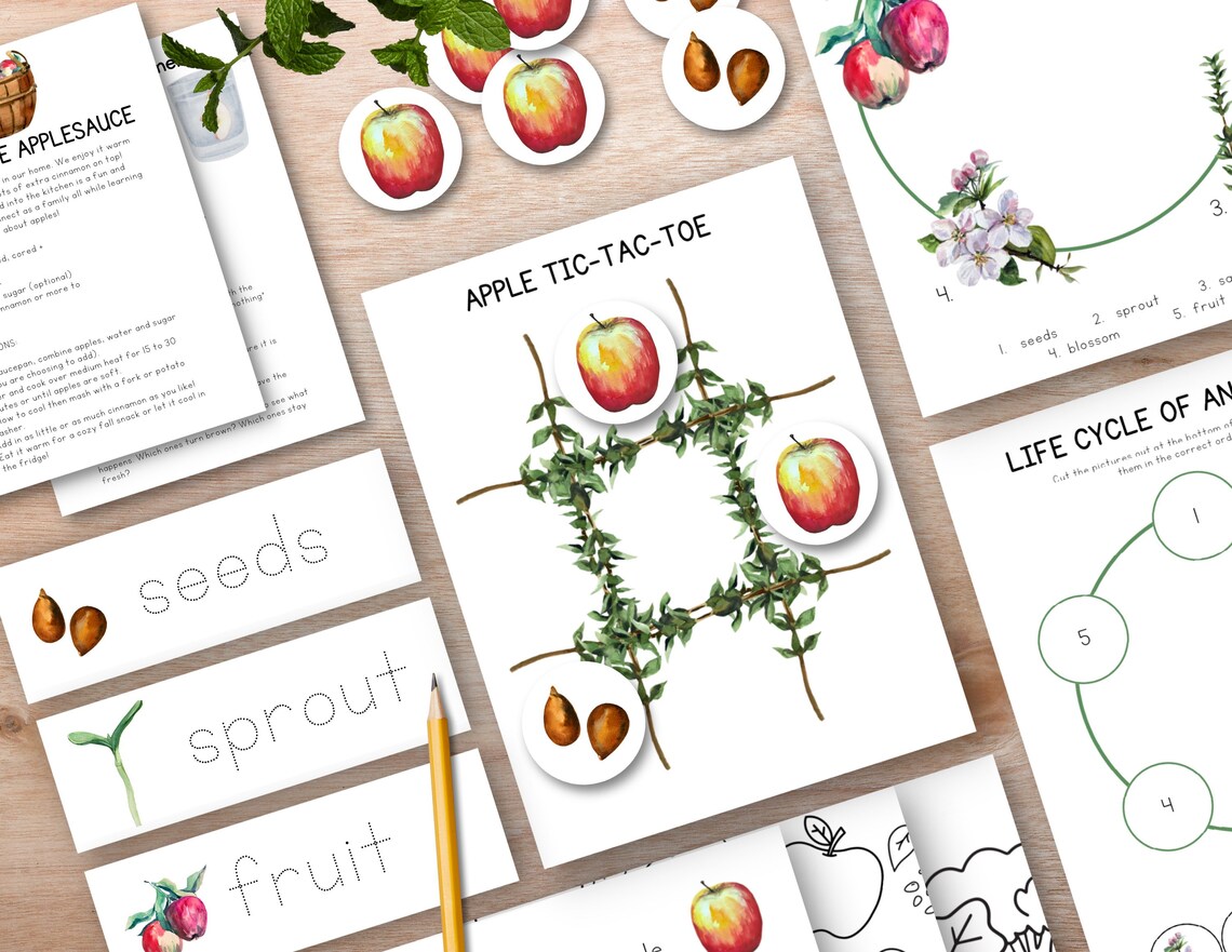 Apple Unit Study Bundle Apple Study Fall Montessori Unit - Etsy