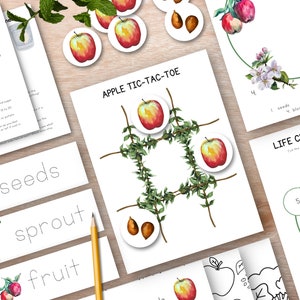 Apple Unit Study Bundle, Apple Study, Fall Montessori Unit, Nature ...