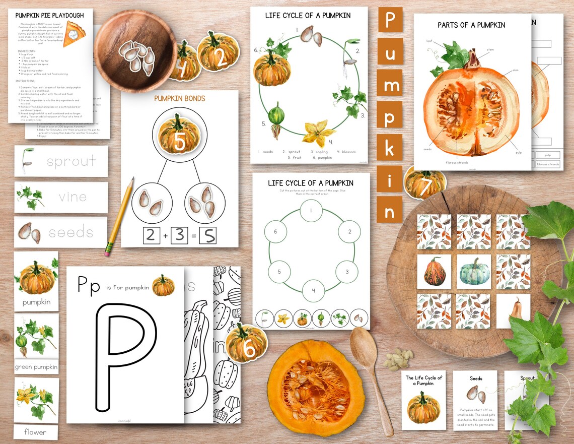 Pumpkin Unit Study Pumpkin Life Cycle Fall Montessori Unit - Etsy