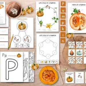 Pumpkin Unit Study, Pumpkin Life Cycle, Fall Montessori Unit, Nature ...