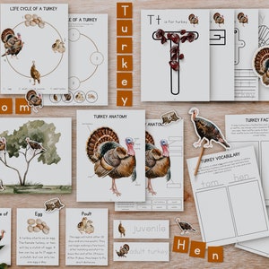 Turkey Unit Study Bundle, Thanksgiving Study, Fall Montessori Unit ...