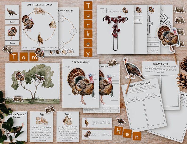 Turkey Unit Study Bundle Thanksgiving Study Fall Montessori - Etsy