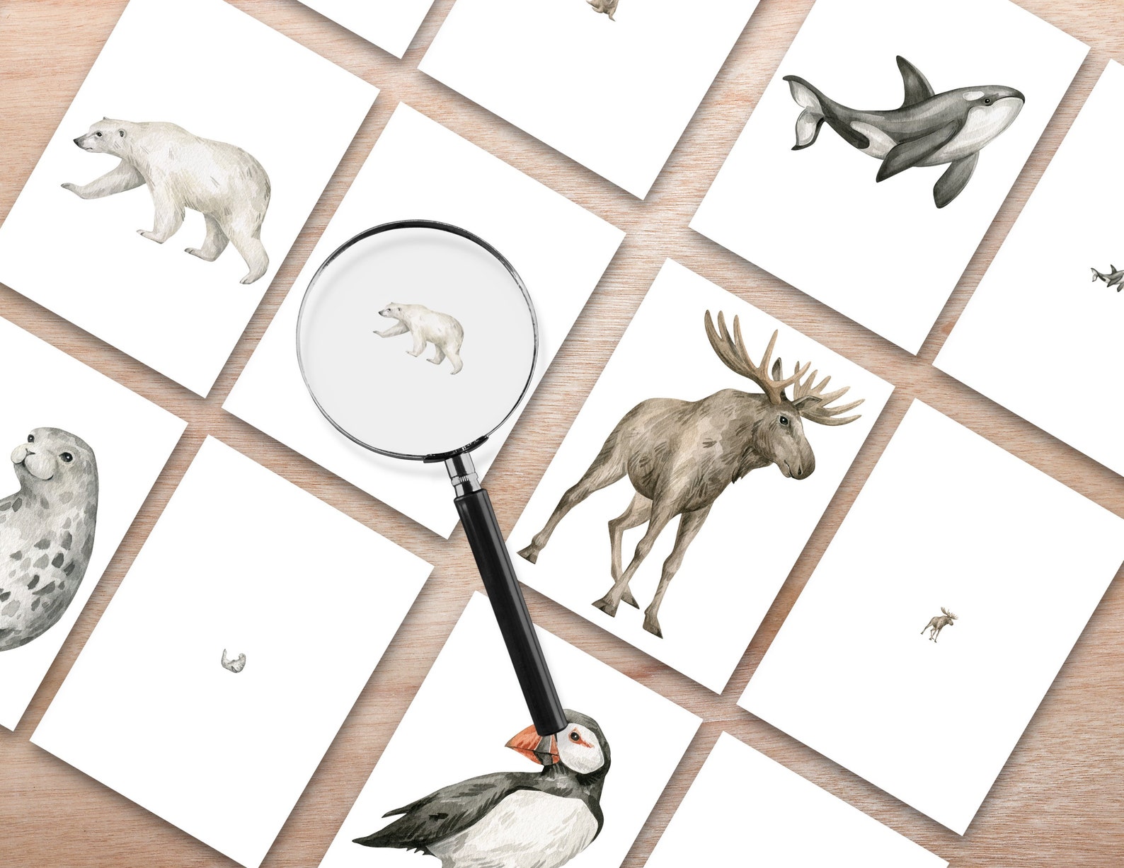 Arctic Animal Magnifying Match Activity, Montessori Winter Activity ...