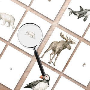 Arctic Animal Magnifying Match Activity, Montessori Winter Activity ...