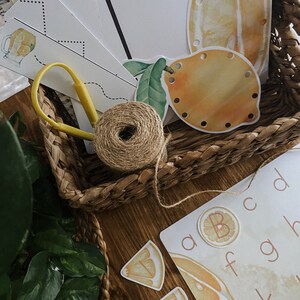 Lemonade Activity Unit, Lemonade Montessori Unit, Nature Flashcards ...